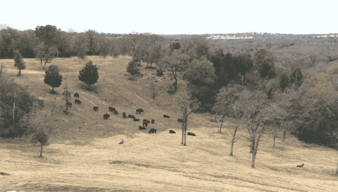 Beaver Creek Ranch Hunt | Beaver Creek Properties